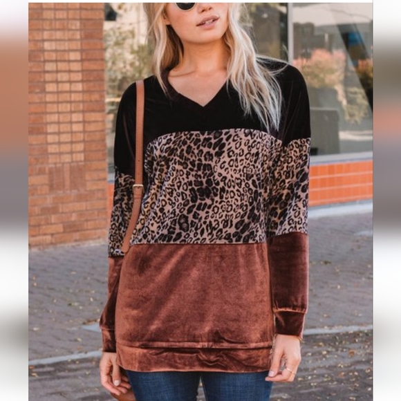 Amaryllis | Tops | Amaryllis Vneck Colorblock Top In Copperleopard ...